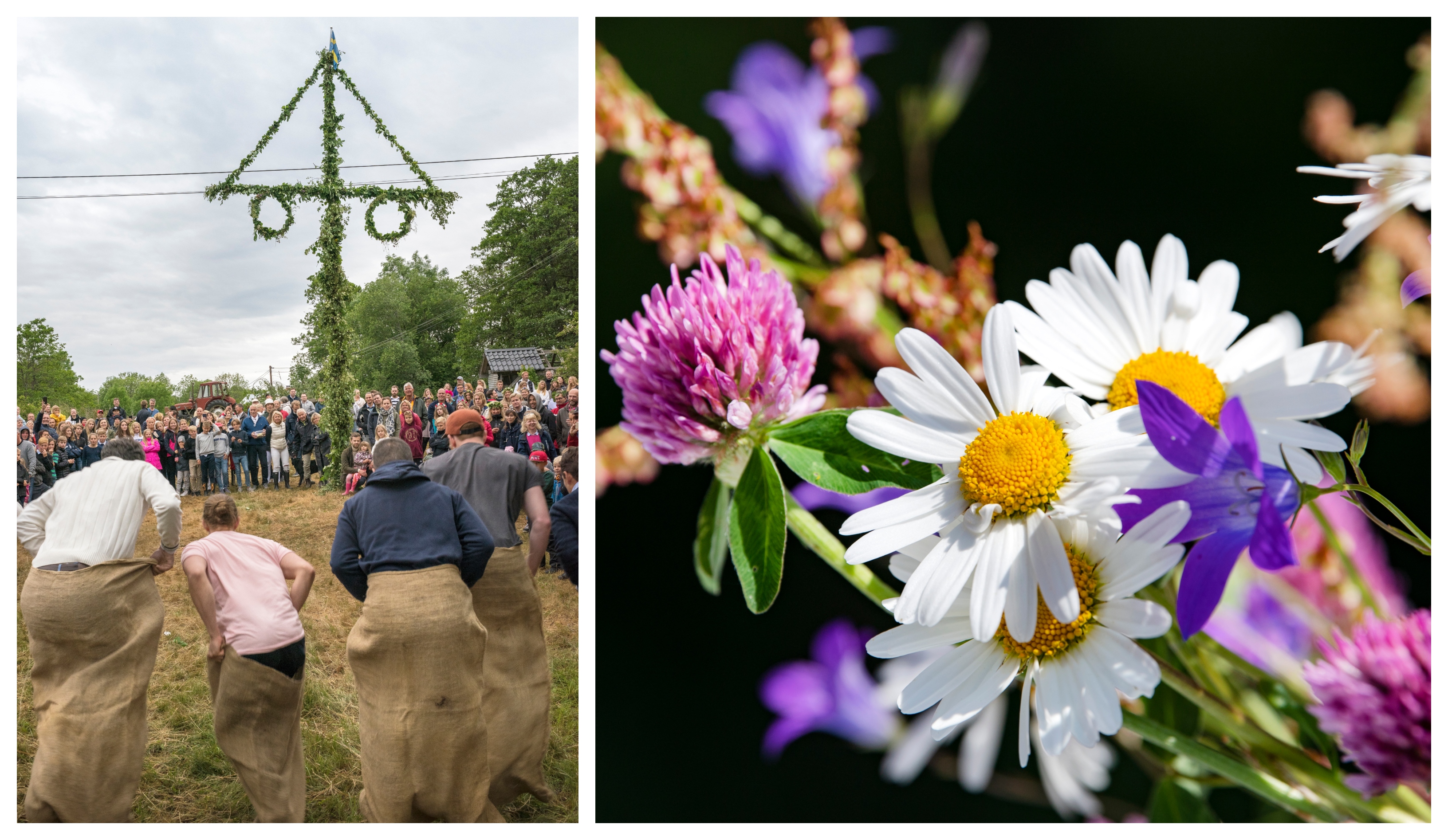 12 snapsvisor till midsommar att skriva ut till ert sånghäfte