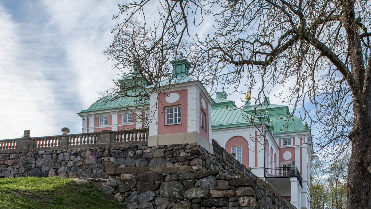 Har du 40 miljoner över? Nu är Ållonö slott till salu