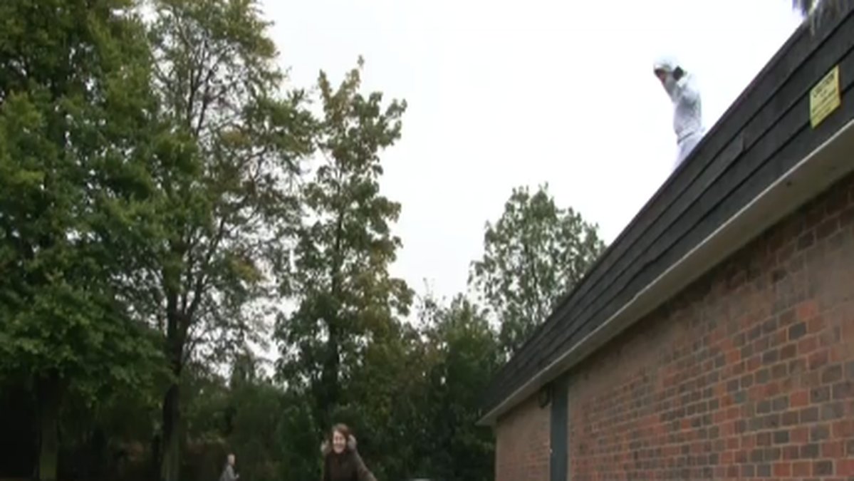 Hoppet som krossar stuntmannens svanskota