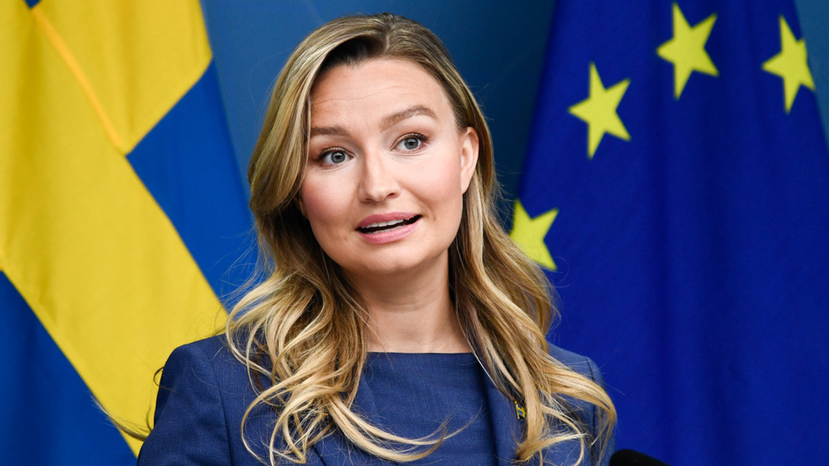 Regeringen: Statlig vård ska utredas