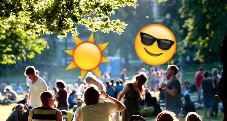 soligt - Nyheter, artiklar, reportage och video - Nyheter24