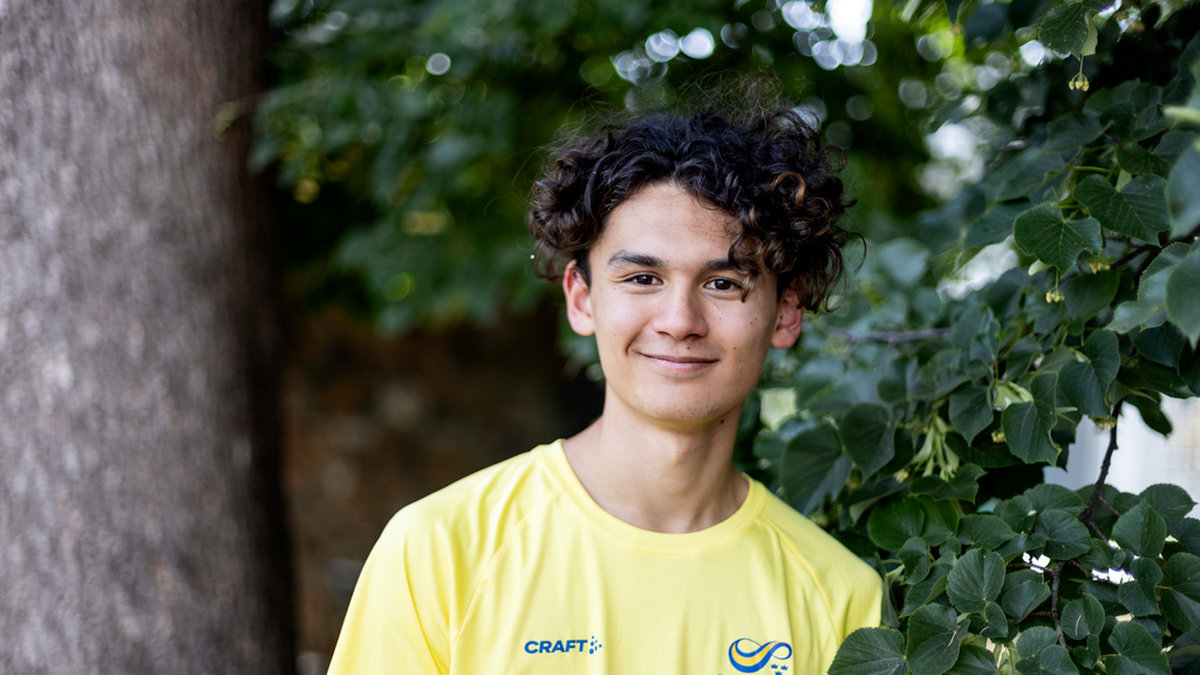 Förkylning kan stoppa EM-dröm för Lycke Holm