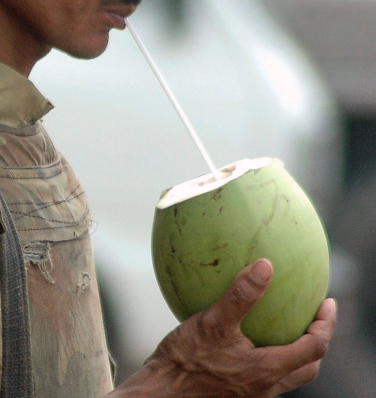 Smoothietrenden: "En rejäl bit moderkaka med kokosvatten och banan"