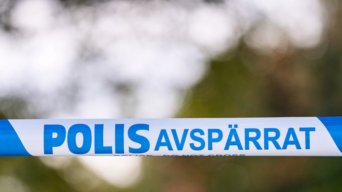 Kvinna Begärs Häktad För Mordförsök Med Bil
