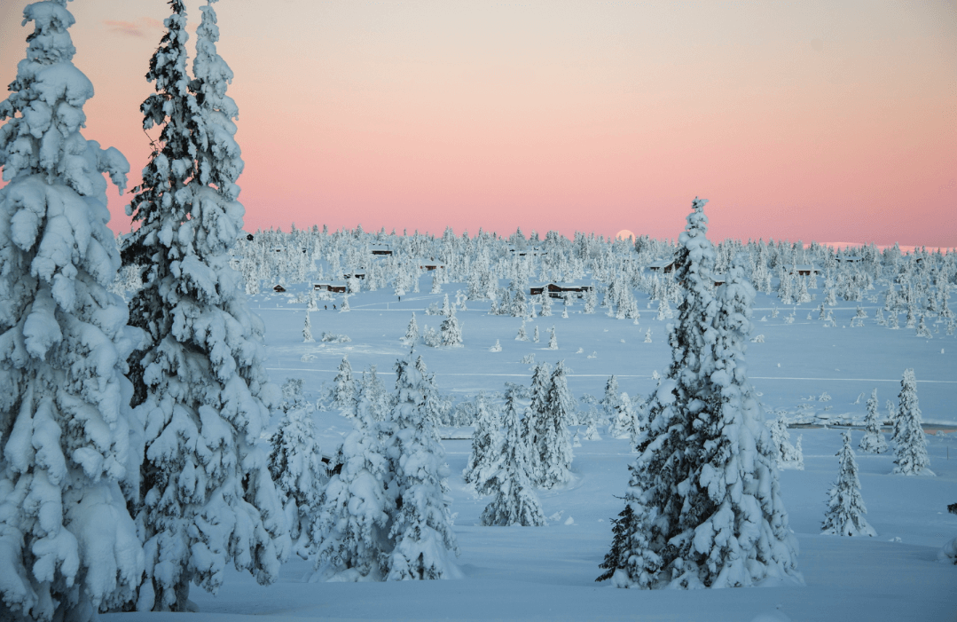 11 bilder som visar varför du borde älska snö och vinter
