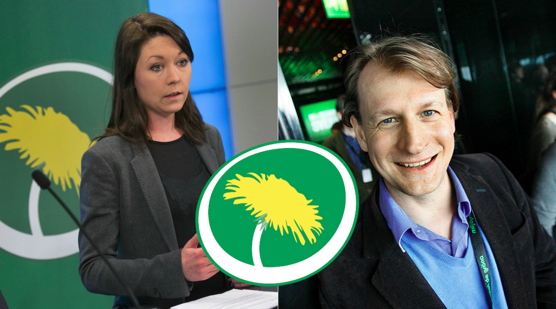 Så mycket tjänade Miljöpartiets riksdagsledamöter 2018