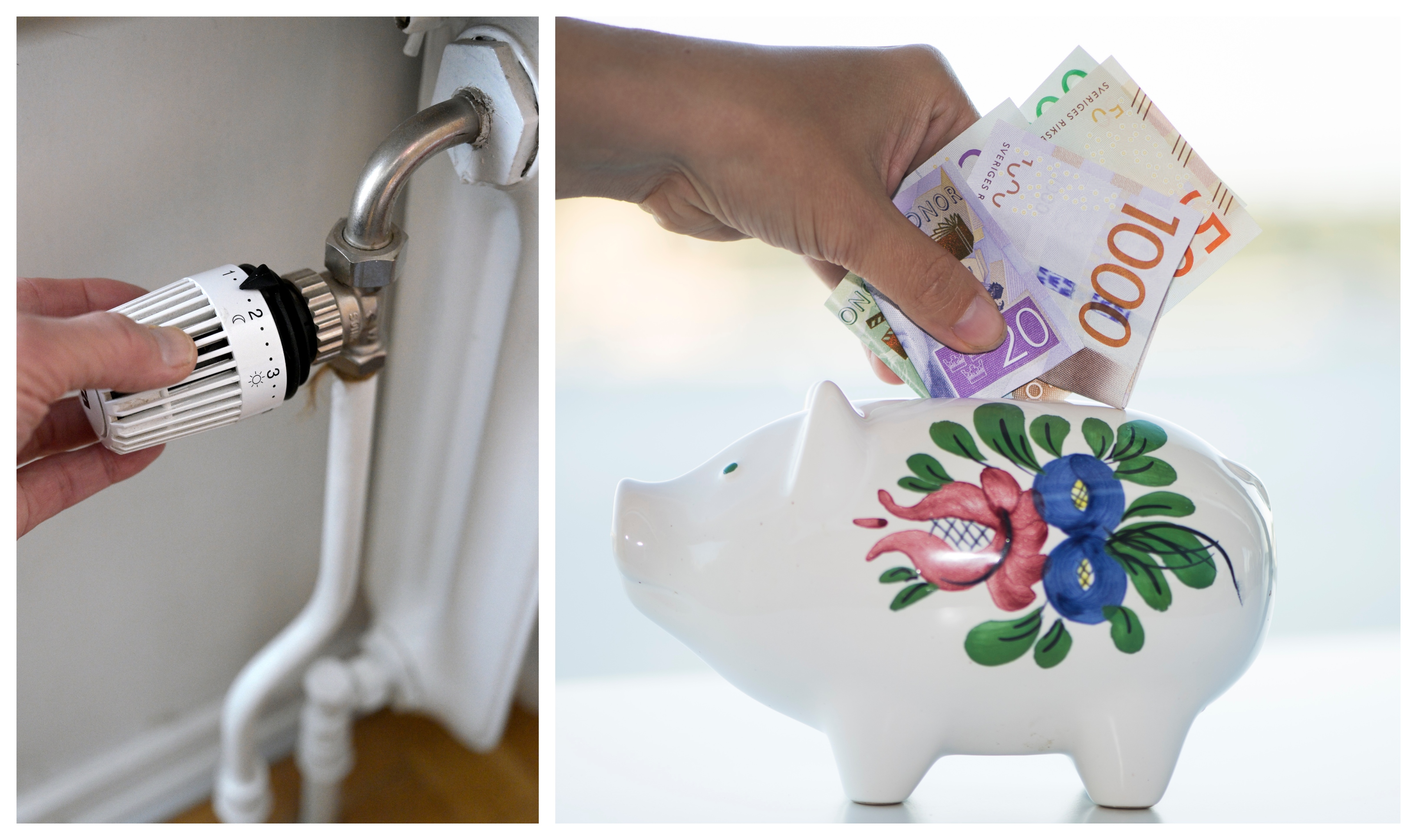 Här är snålproffsens 12 bästa knep – så sparar du pengar