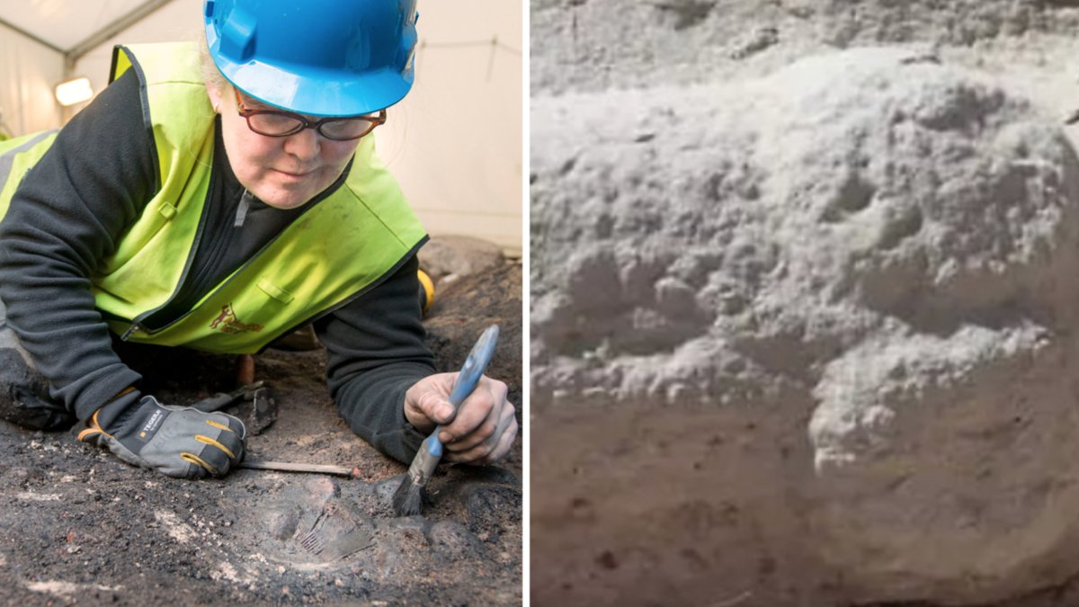 Romersk jättesnopp hittad vid spansk utgrävning