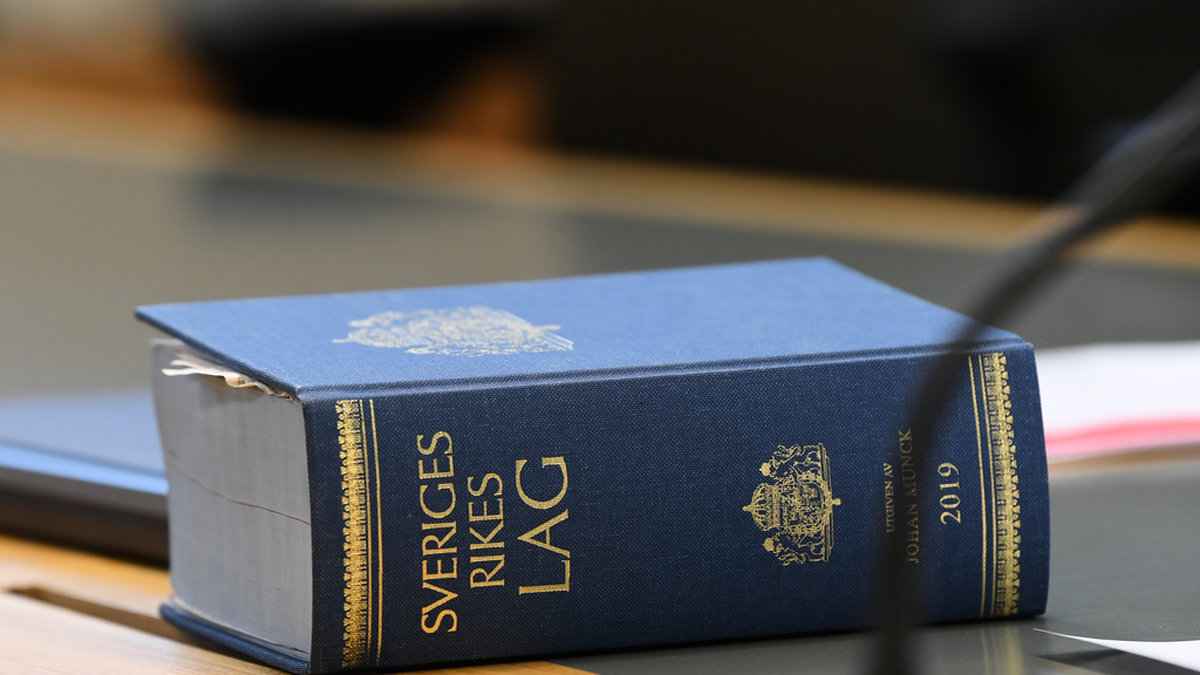 Tonåring Häktad Begärs Utlämnad Till Danmark