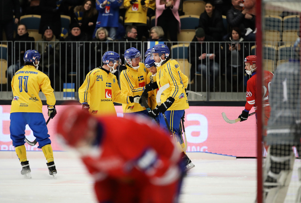 Sverige vill arrangera VM utan Ryssland