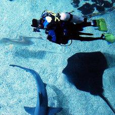 Så mycket pengar tjänar Ulrika Bergquist