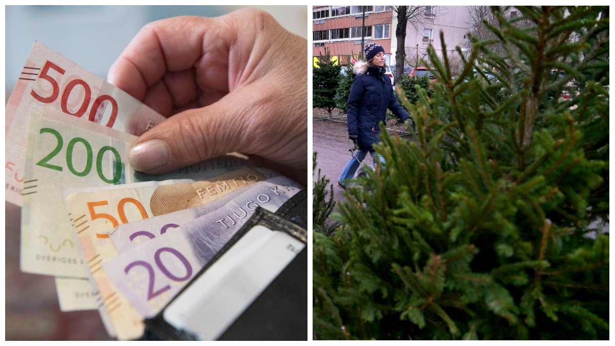 Uppmaningen: Gör inte det här med julgranen – kan ge böter