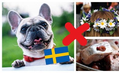 Tipspromenad till midsommar: 12 roliga frågor – med färdiga svar