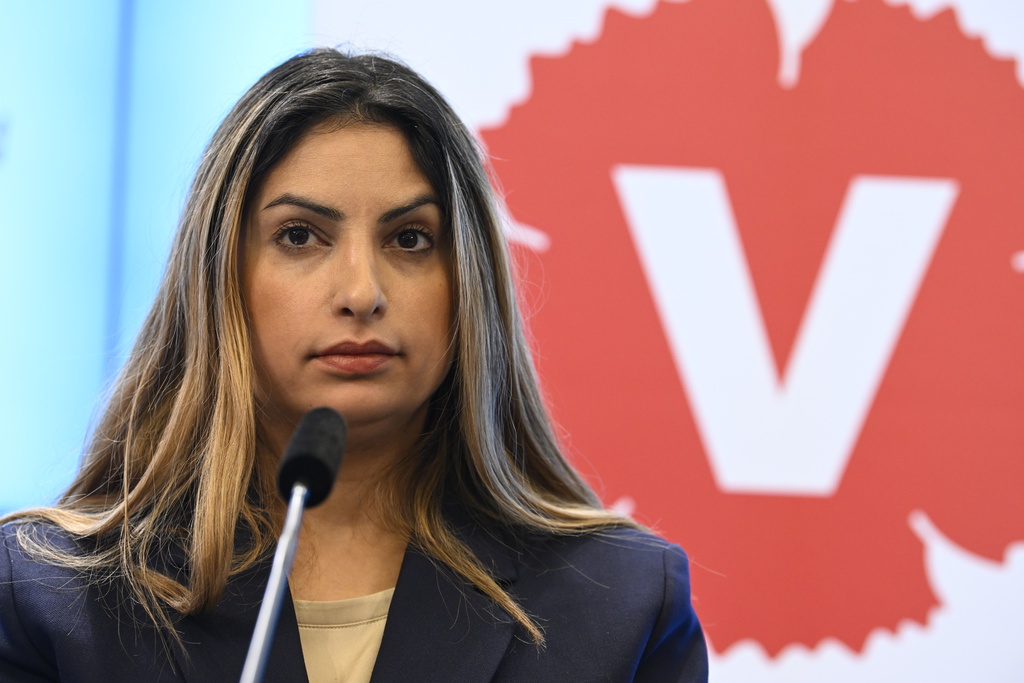 V: PKK-flaggor och vapenstöd påverkade oss